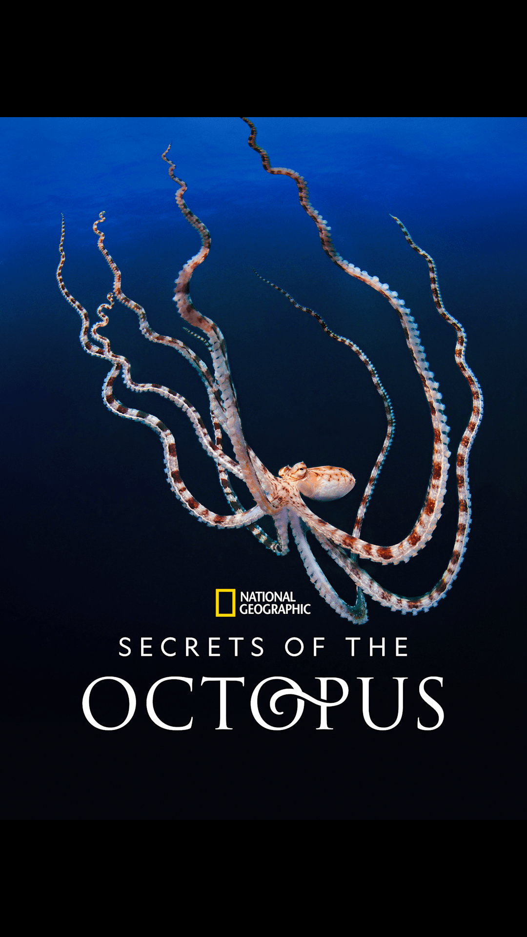 Disney+ | The greatest stories, all in one place