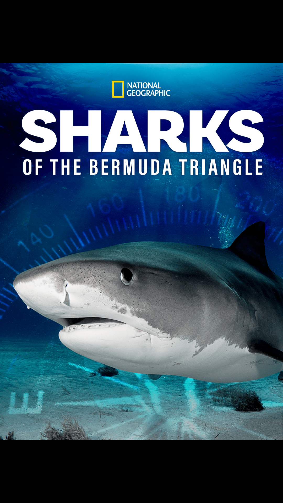 Disney+ | The greatest stories, all in one place