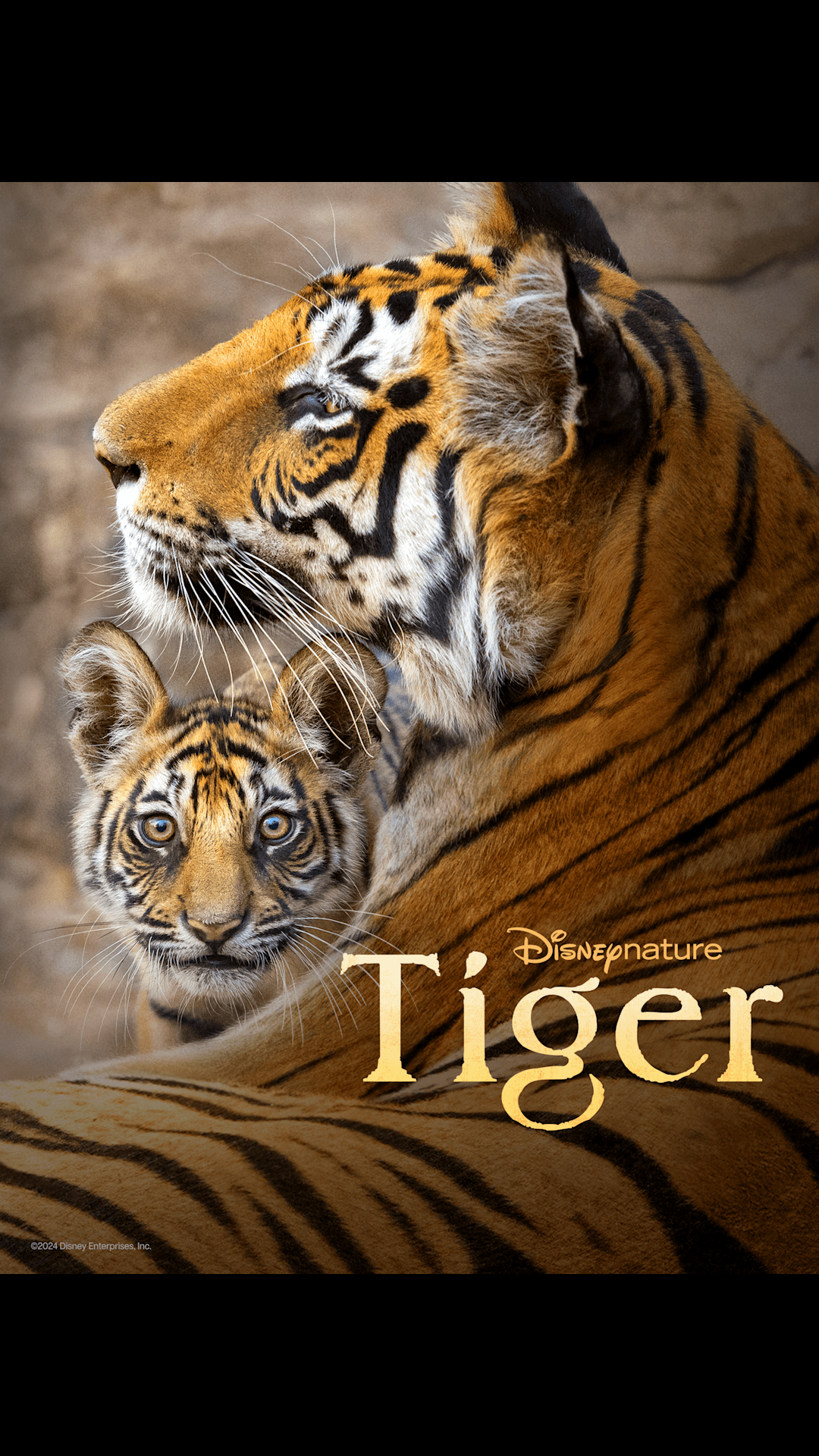 Disney+ | The greatest stories, all in one place