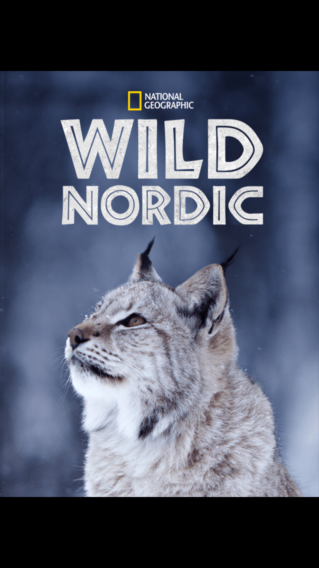 Disney+ | The greatest stories, all in one place