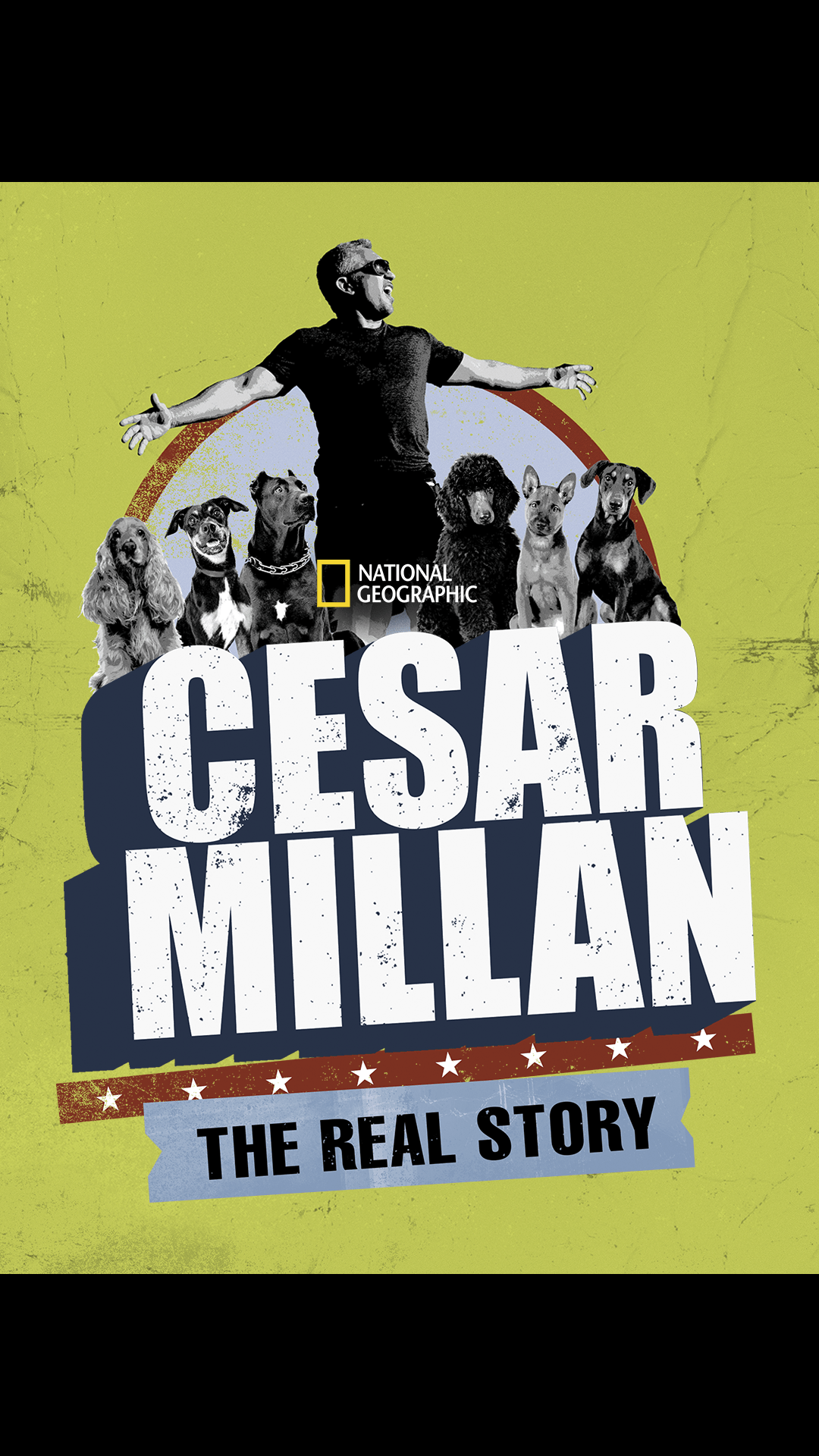 Disney+ | The greatest stories, all in one place