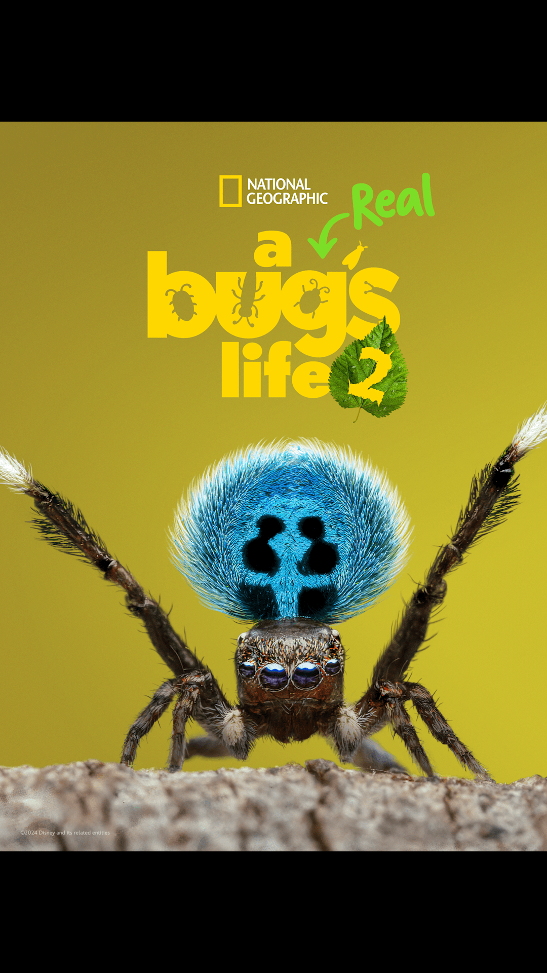 Disney+ | The greatest stories, all in one place