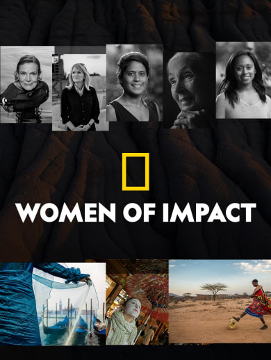 Watch the Inspiring Documentaries Online On Watcho